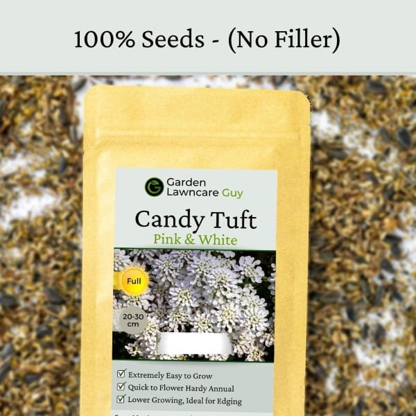 flower-candyturf (4) – Garden Lawncare Guy