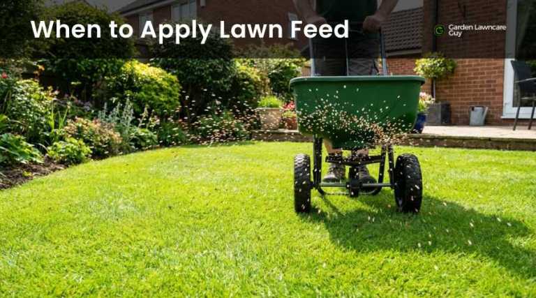 When to Apply Lawn Feed: Best Time to Fertilise Your Lawn
